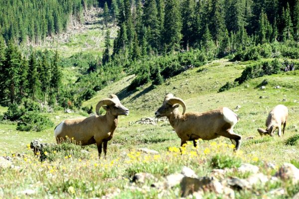 5 Epic Colorado Hiking Trails You Must See To Believe - Kellogg Show