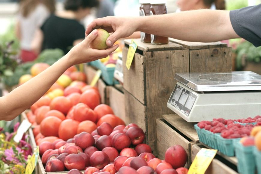 Raising Environmentally Conscious Kids - Respect Nature - Kellogg Show