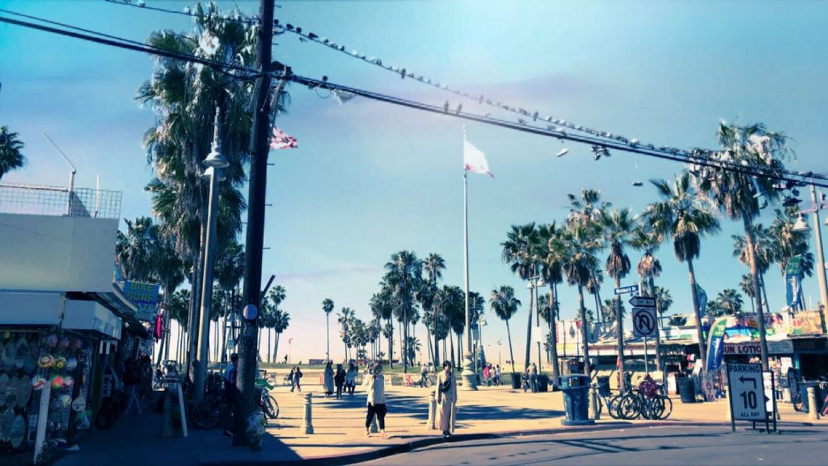 Top 6 Things to do in Venice Beach - Kellogg Show
